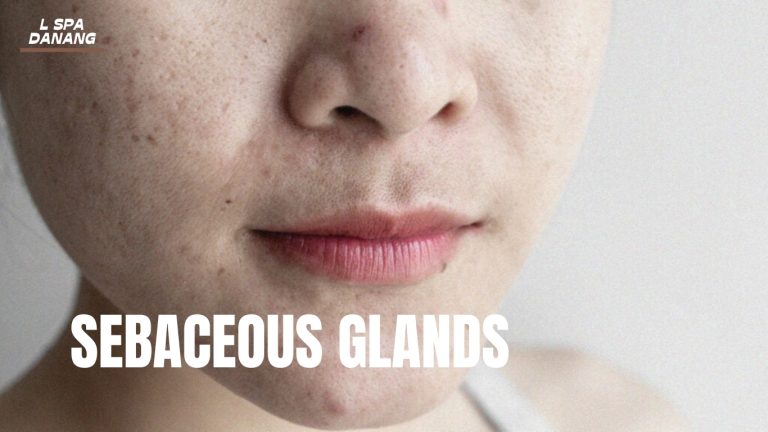 The lesser-known truths about Sebaceous Glands